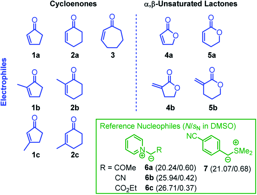 Electrophilic reactivities of cyclic enones and α,β-unsaturated ...
