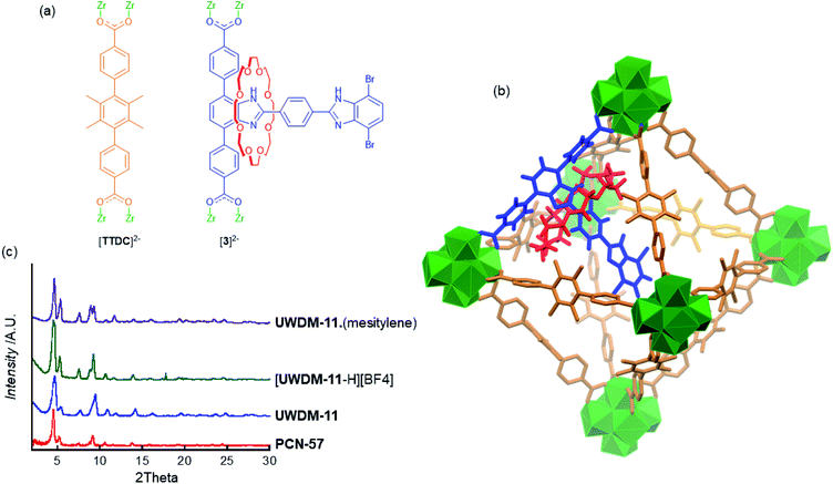 Translational dynamics of a non-degenerate molecular shuttle imbedded ...