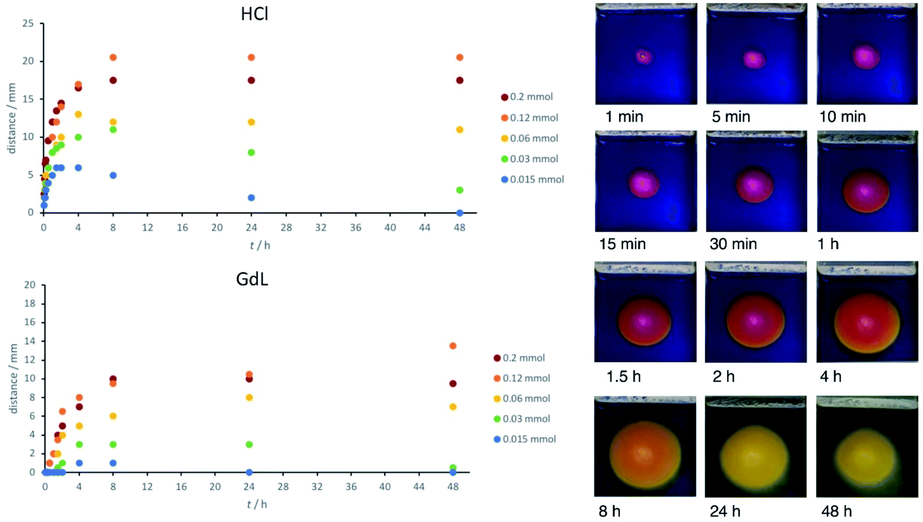 Spatial and temporal diffusion-control of dynamic multi-domain self ...