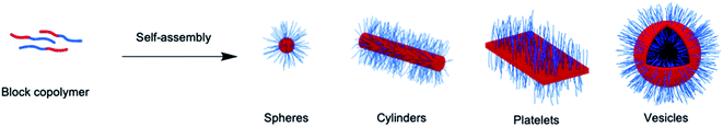 Emerging applications for living crystallization-driven self-assembly ...