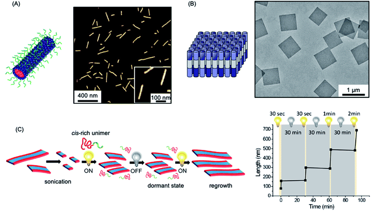 Emerging applications for living crystallization-driven self-assembly ...