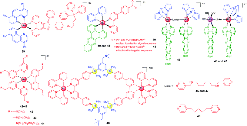Phosphorescent metal complexes as theranostic anticancer agents ...