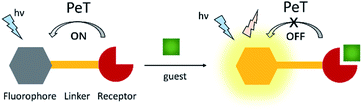 Fluorescent small organic probes for biosensing - Chemical Science (RSC ...
