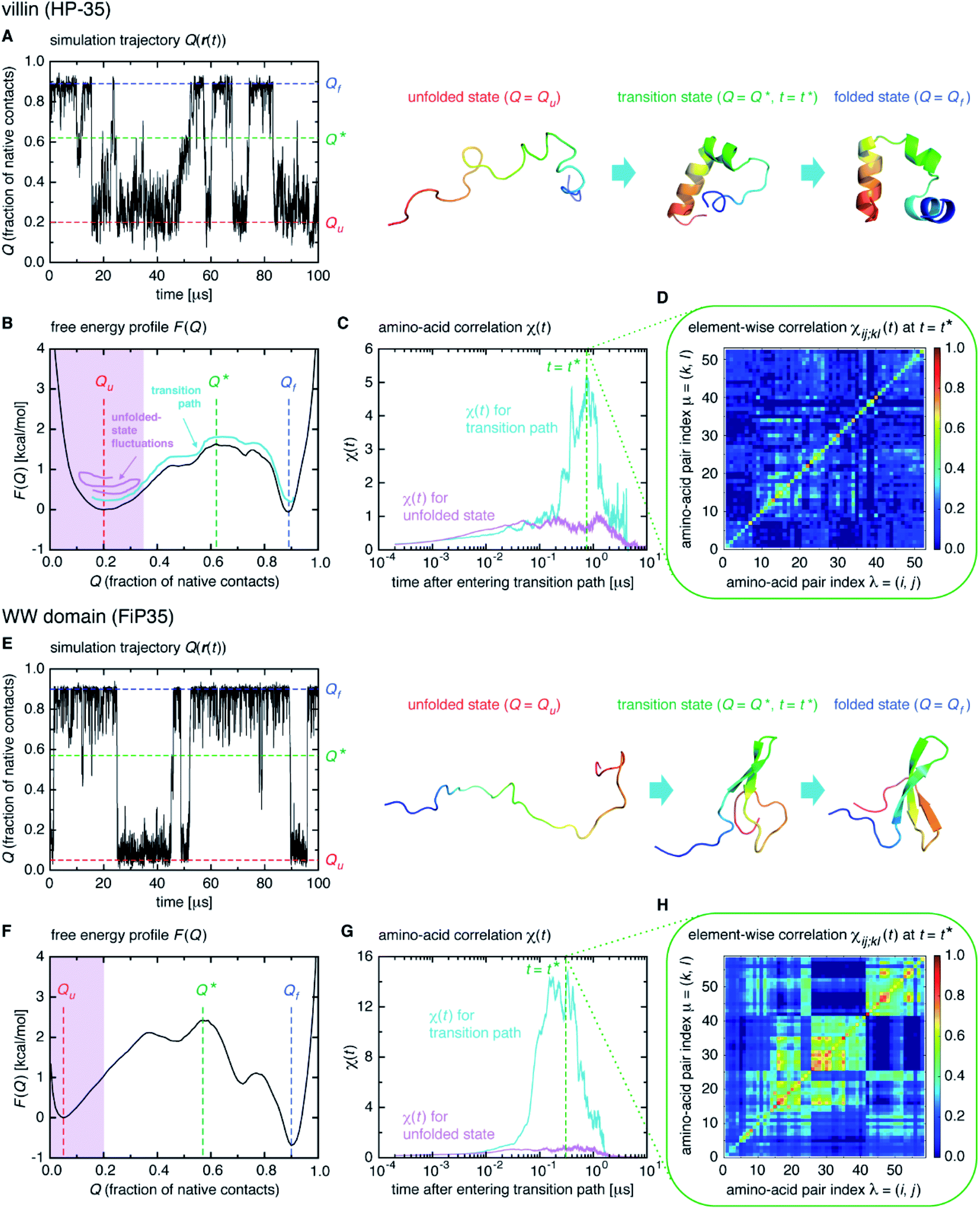 Time-dependent communication between multiple amino acids during ...