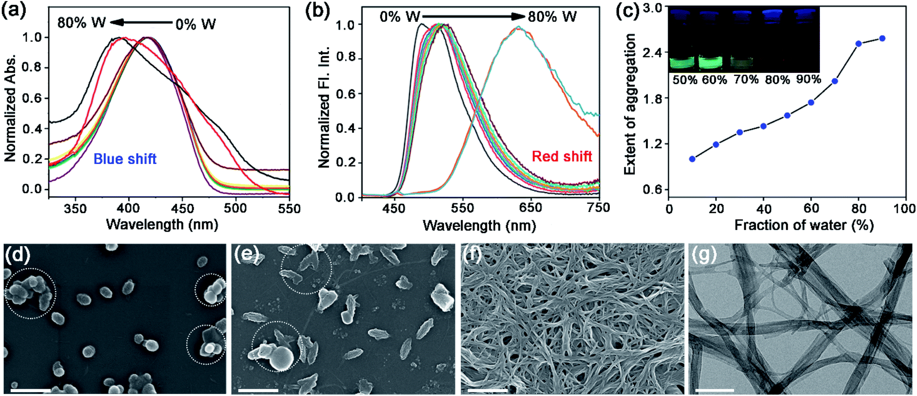 Deciphering the evolution of supramolecular nanofibers in solution and ...