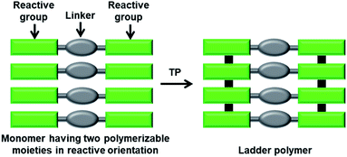 Polymers with advanced structural and supramolecular features ...