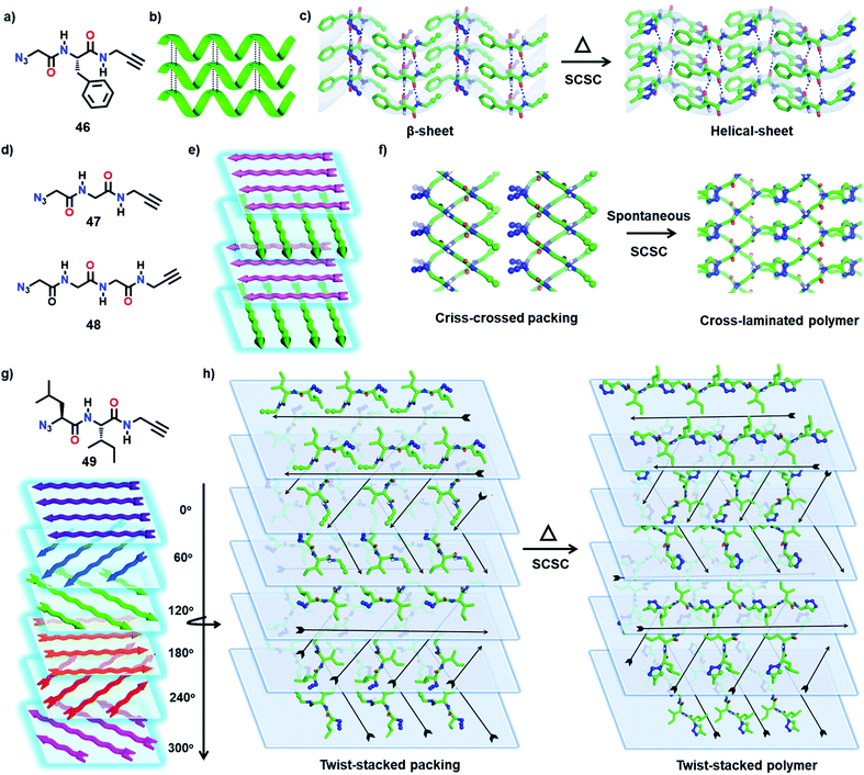 Polymers with advanced structural and supramolecular features ...