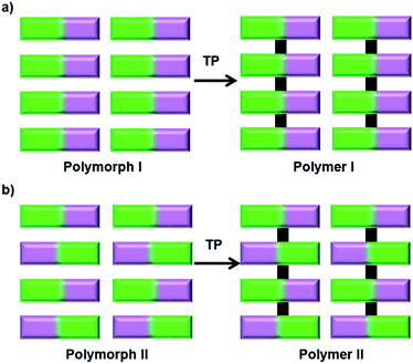 Polymers with advanced structural and supramolecular features ...