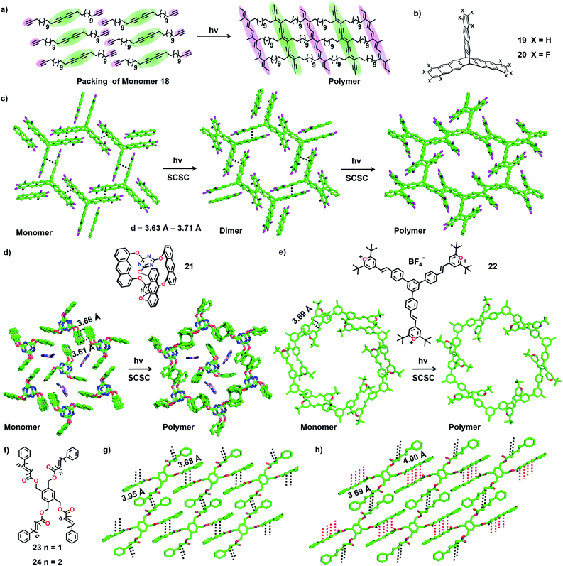 Polymers with advanced structural and supramolecular features ...