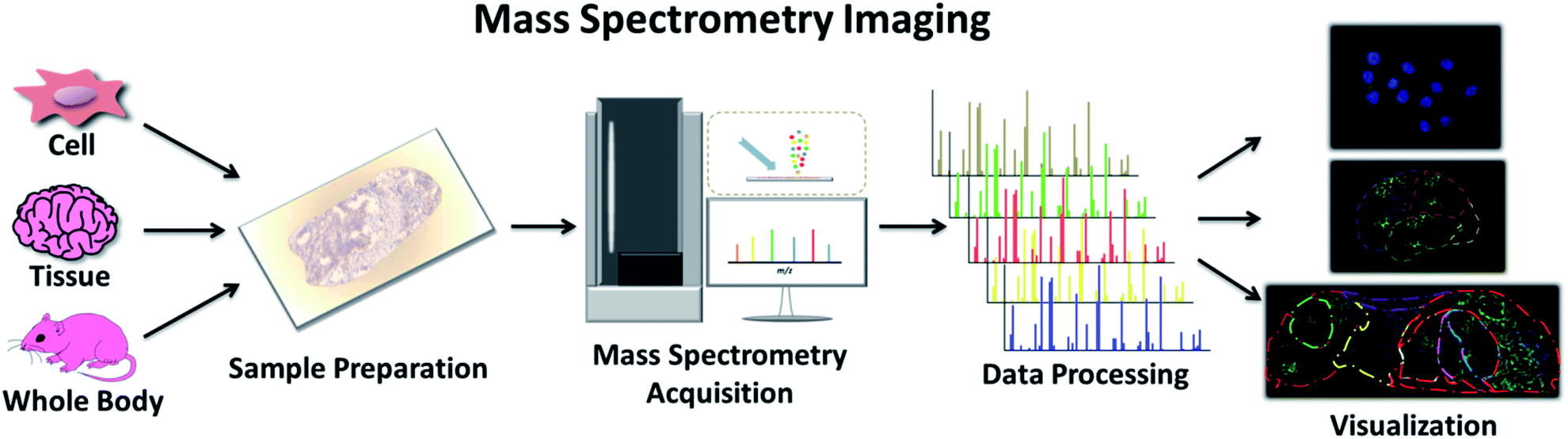 Mass spectrometry-based chemical mapping and profiling toward molecular ...