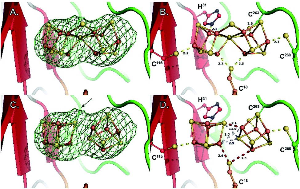 An unexpected P-cluster like intermediate en route to the nitrogenase ...