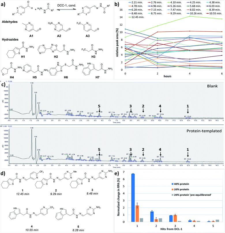 Hit-optimization using target-directed dynamic combinatorial chemistry ...