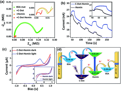 Long-range light-modulated charge transport across the molecular ...