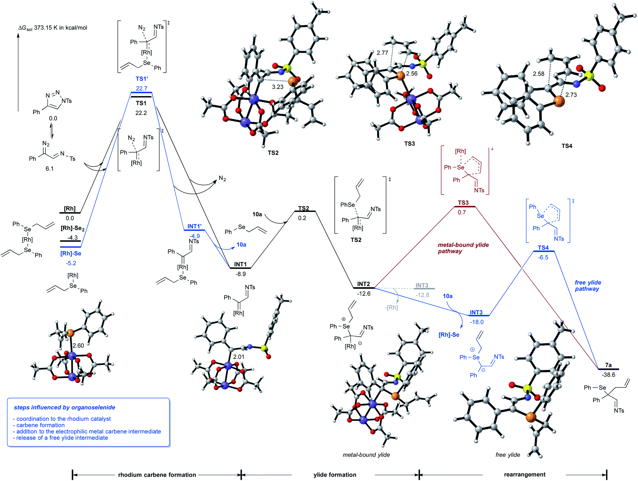 Rhodium-catalyzed cascade reactions of triazoles with organoselenium ...