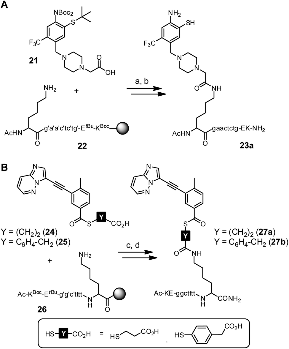 Expanding the scope of native chemical ligation – templated small ...