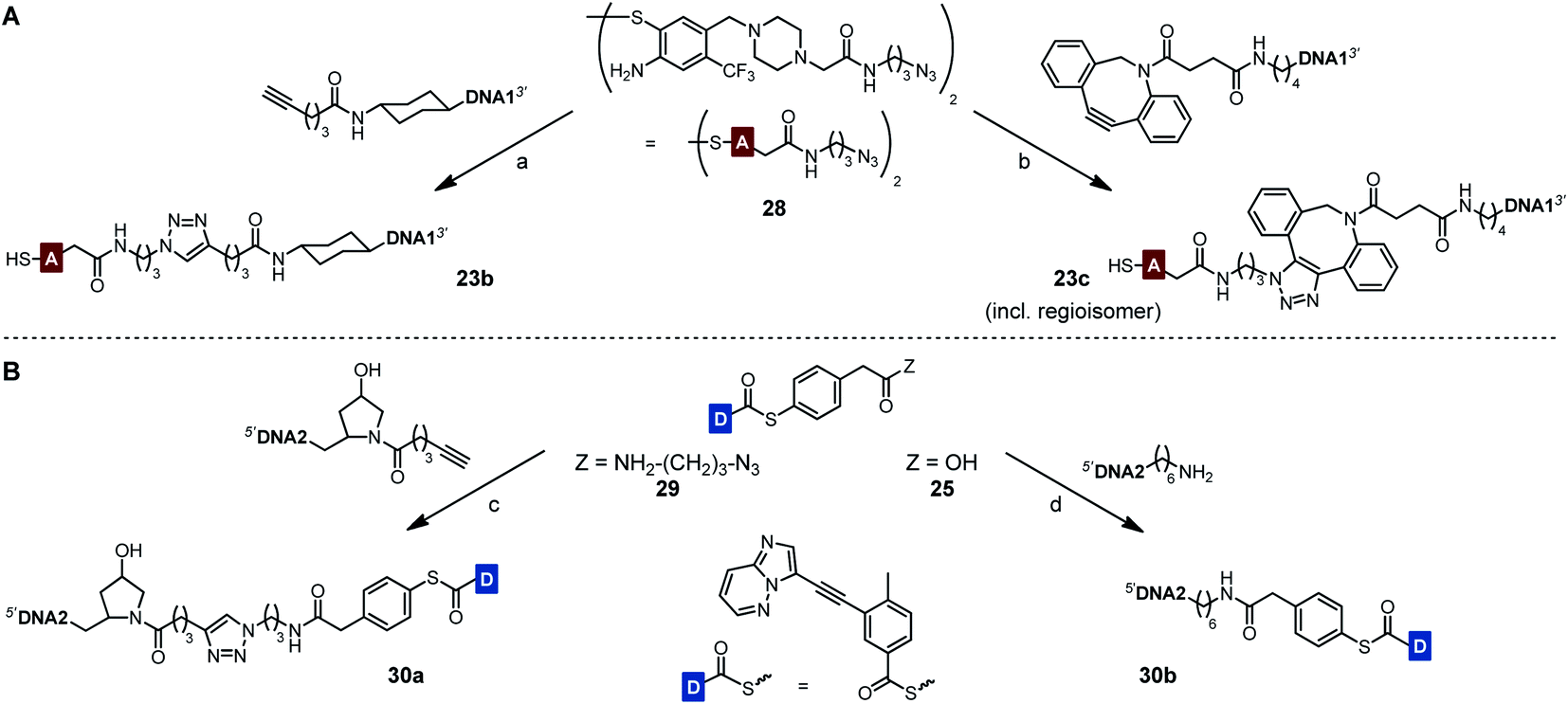 Expanding the scope of native chemical ligation – templated small ...