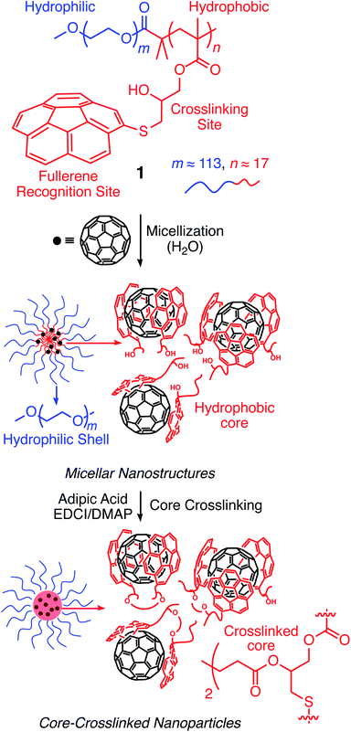 Aggregation-free and high stability core–shell polymer nanoparticles ...