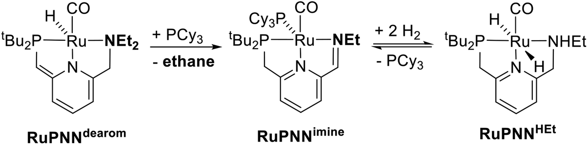The key role of the latent N–H group in Milstein's catalyst for ester ...