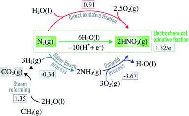 Electrochemical oxidation of molecular nitrogen to nitric acid ...