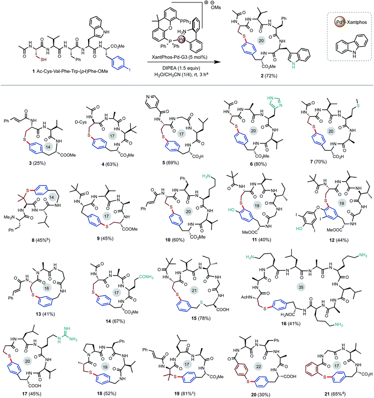 Streamlined construction of peptide macrocycles via palladium-catalyzed ...