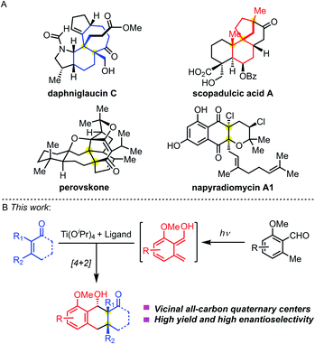 Construction of polycyclic structures with vicinal all-carbon ...