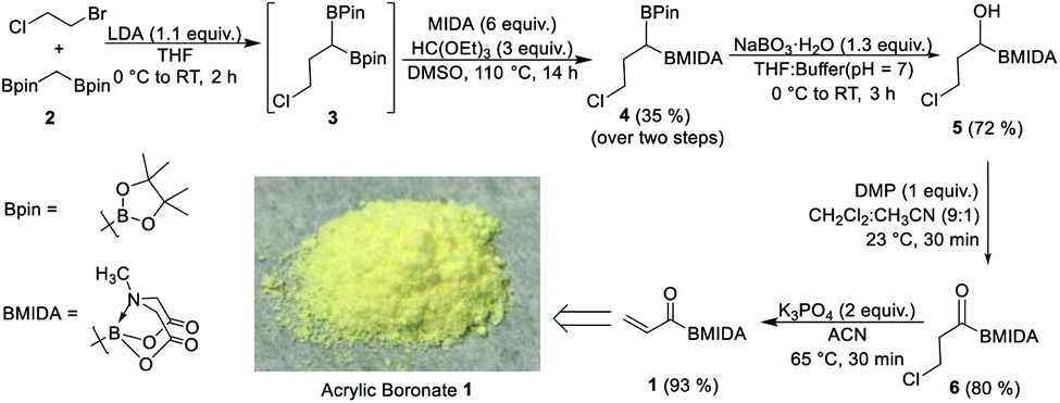 Acrylic boronate: a multifunctional C3 building block for catalytic ...