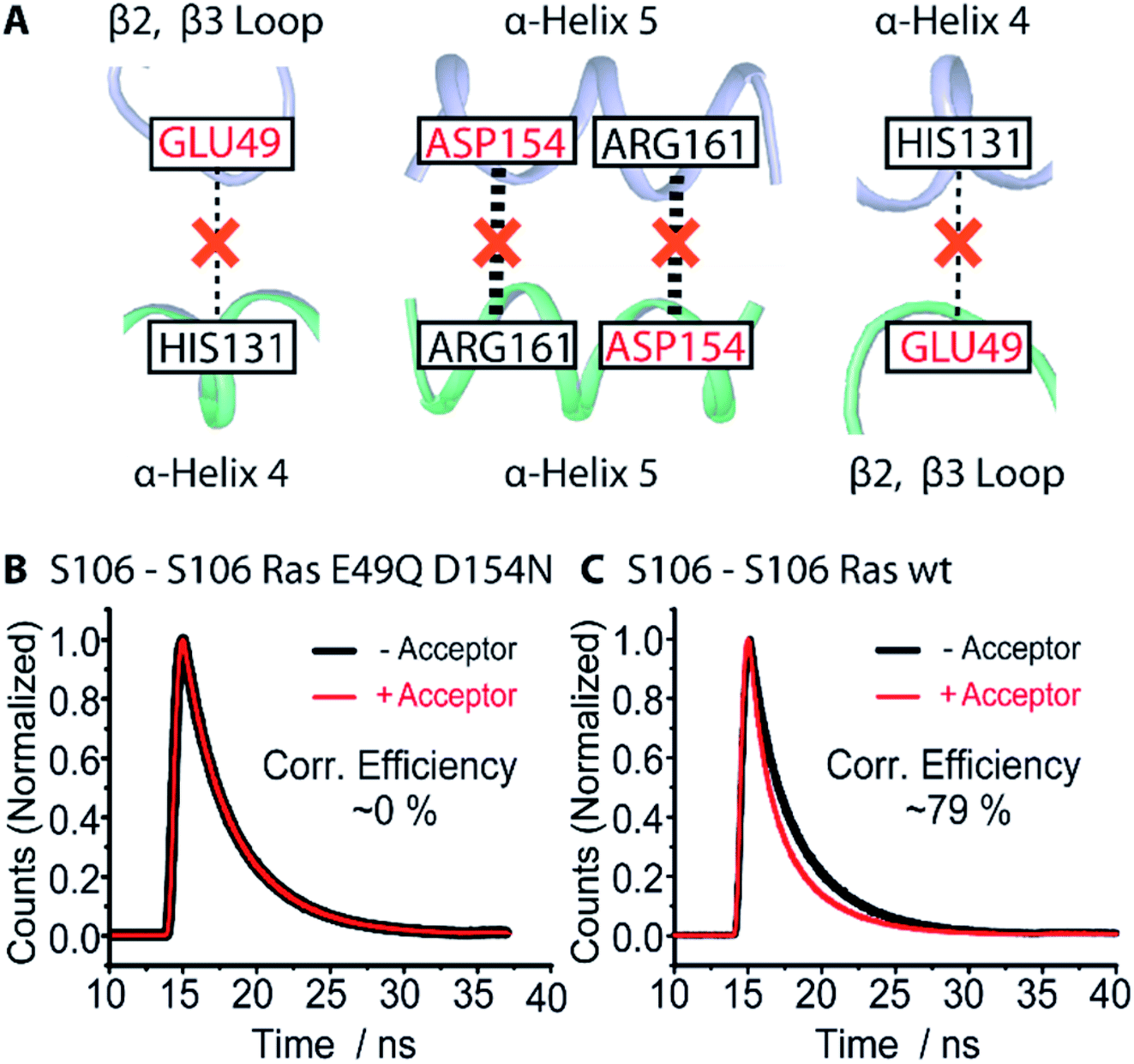 The Ras dimer structure - Chemical Science (RSC Publishing) DOI:10.1039 ...