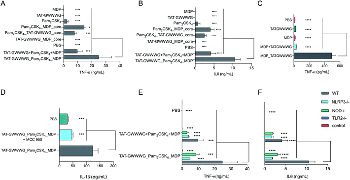 A synthetic pathogen mimetic molecule induces a highly amplified ...