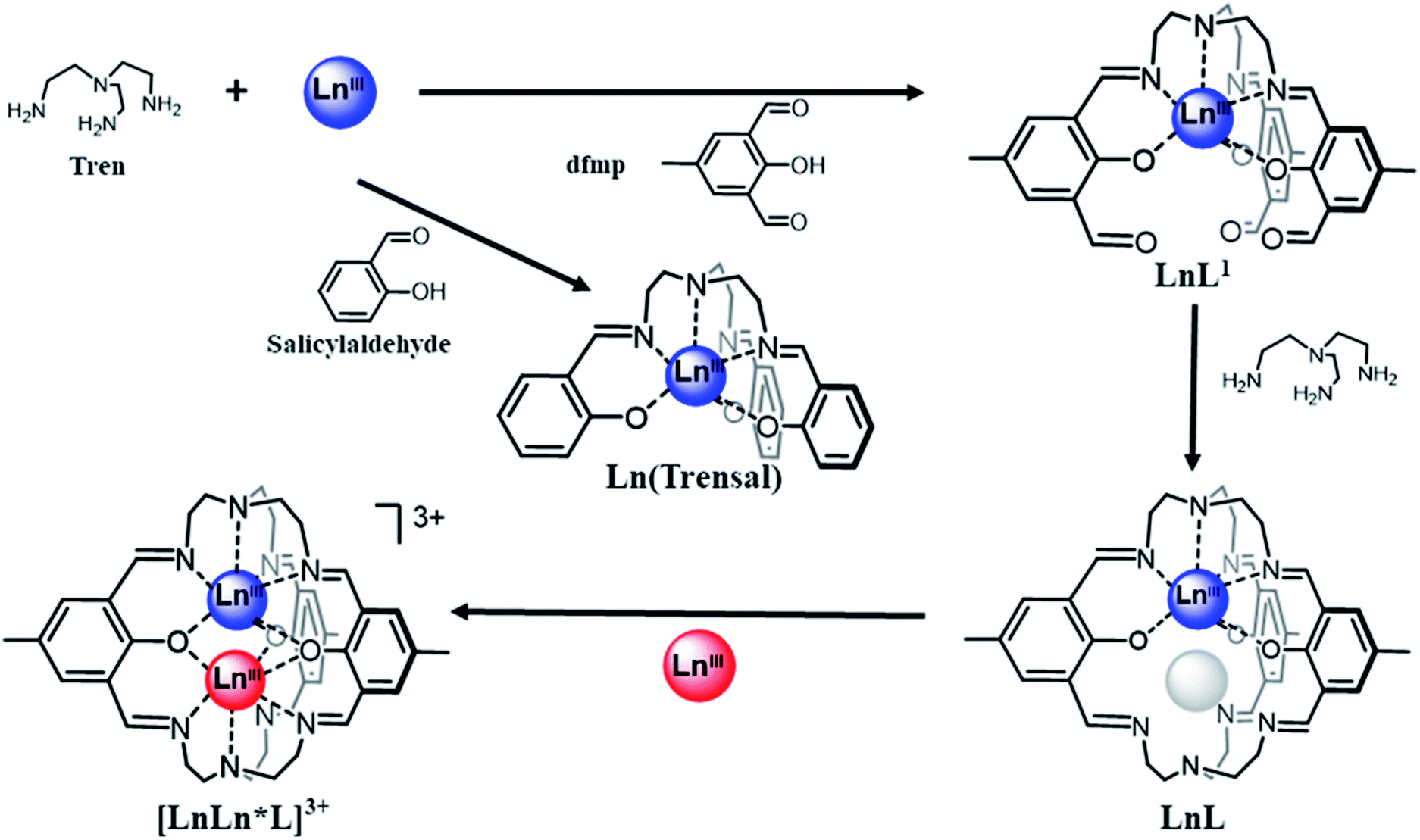 Design of pure heterodinuclear lanthanoid cryptate complexes - Chemical ...