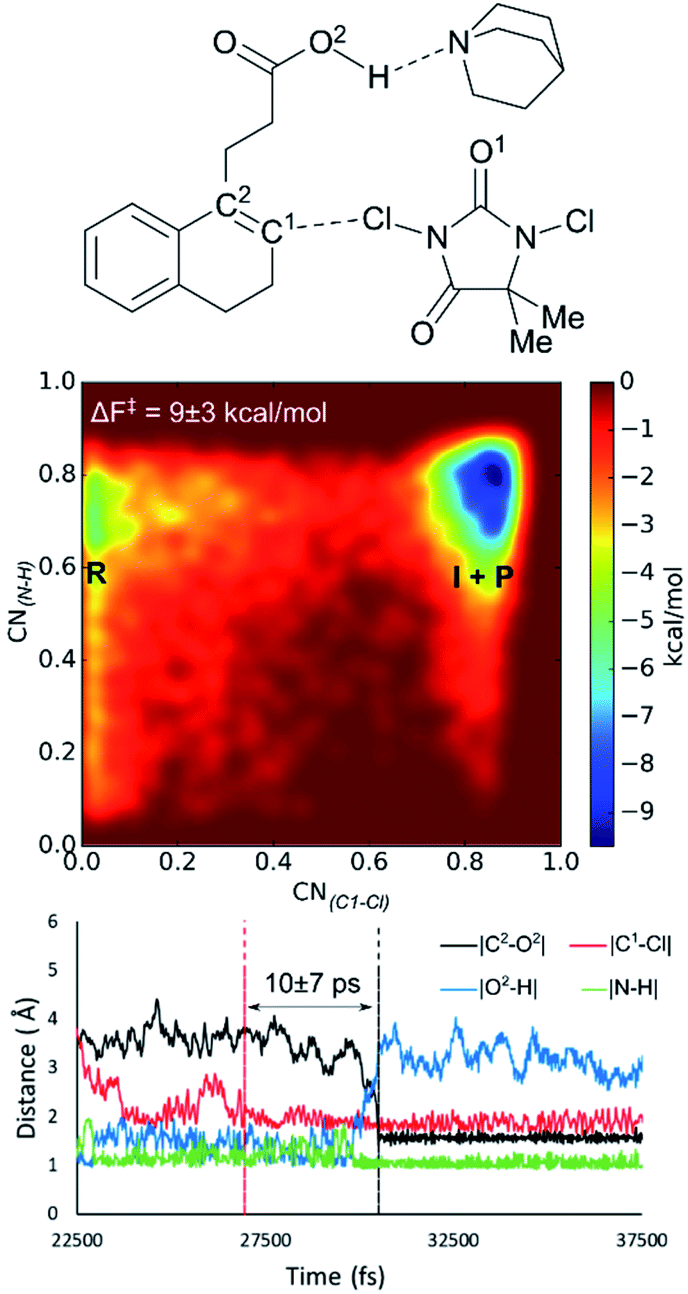 A dynamic picture of the halolactonization reaction through a ...