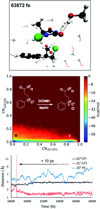 A dynamic picture of the halolactonization reaction through a ...