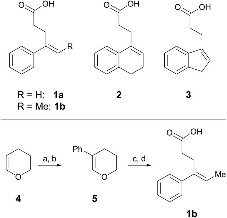 A dynamic picture of the halolactonization reaction through a ...