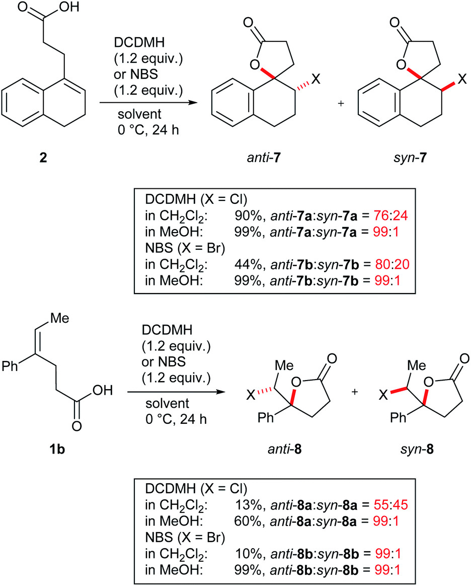 A dynamic picture of the halolactonization reaction through a ...