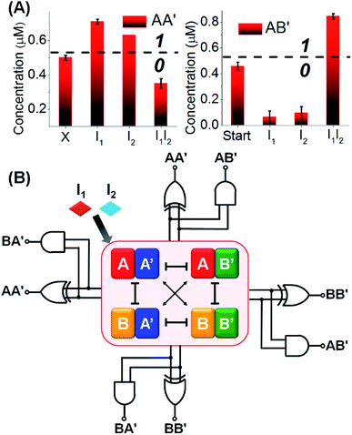 DNA-based constitutional dynamic networks as functional modules for ...