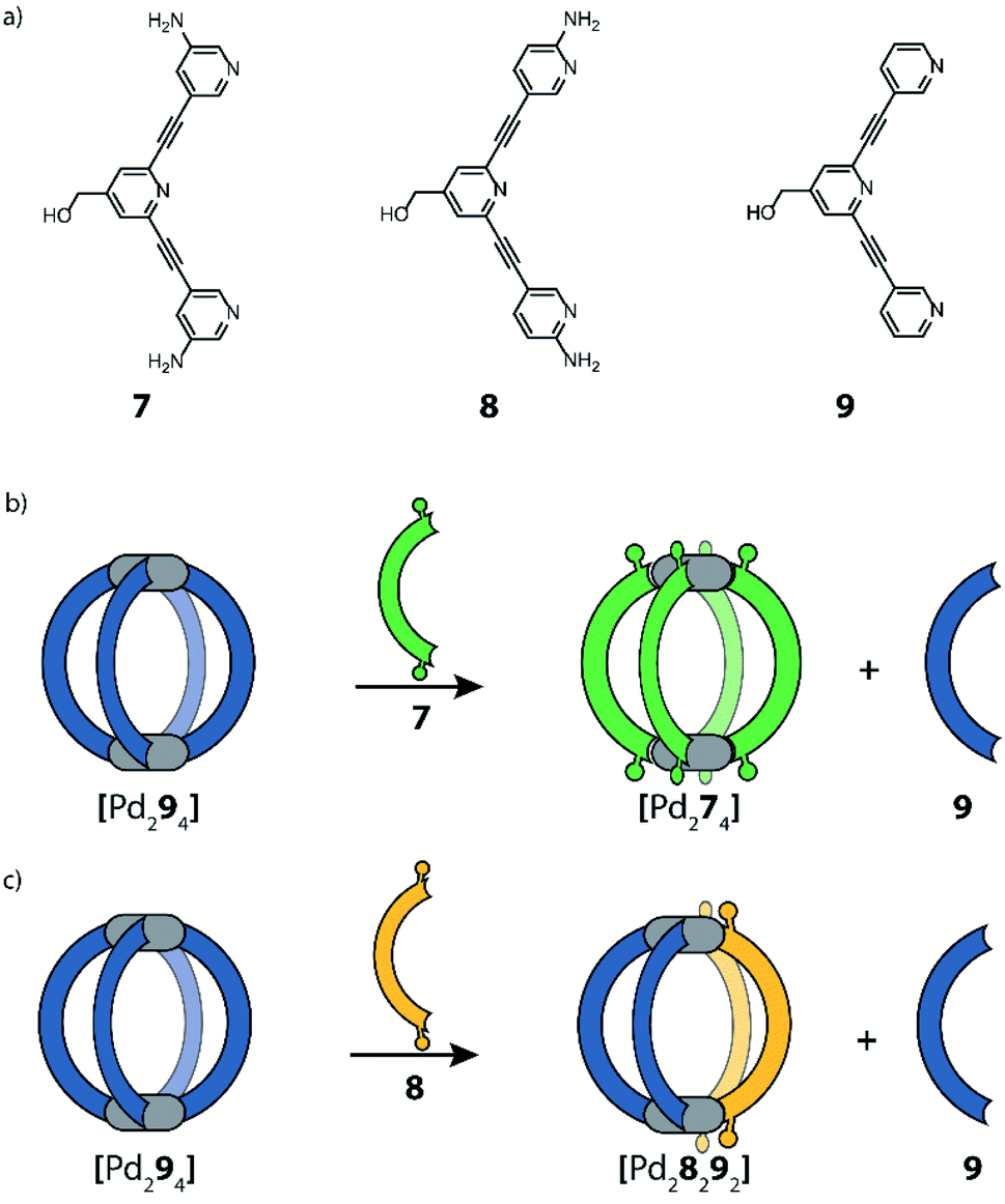 Increasing structural and functional complexity in self-assembled ...