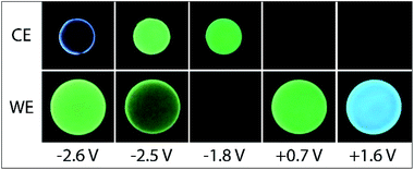 Emission from the working and counter electrodes under co-reactant ...