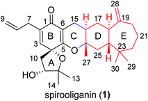 Library construction of stereochemically diverse isomers of ...