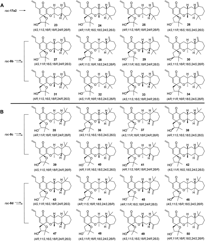 Library construction of stereochemically diverse isomers of ...