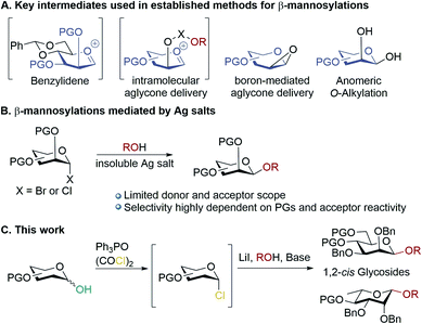 Stereoselective β-mannosylations and β-rhamnosylations from glycosyl ...