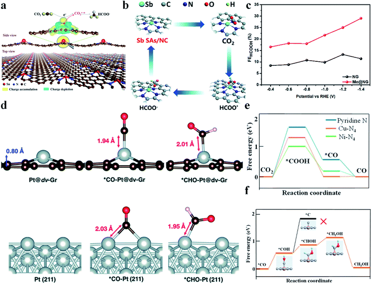 Recent advances in single atom catalysts for the electrochemical carbon ...