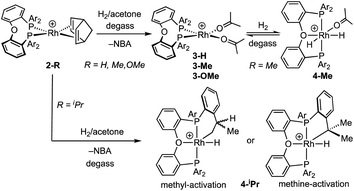 Ortho -aryl substituted DPEphos ligands: rhodium complexes featuring C ...