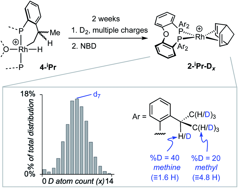 Ortho -aryl substituted DPEphos ligands: rhodium complexes featuring C ...