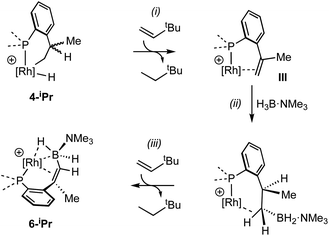 Ortho -aryl substituted DPEphos ligands: rhodium complexes featuring C ...