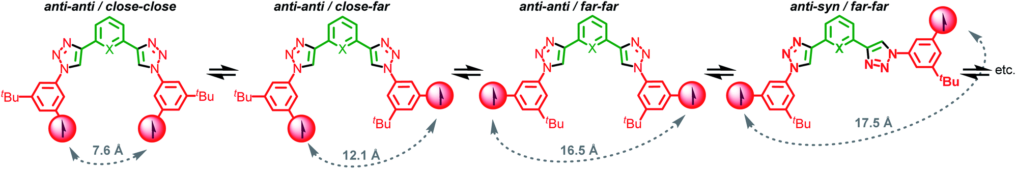 Spin-labelled mechanically interlocked molecules as models for the ...
