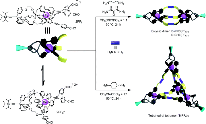 Solvent-dependent fac / mer -isomerization and self-assembly of triply ...