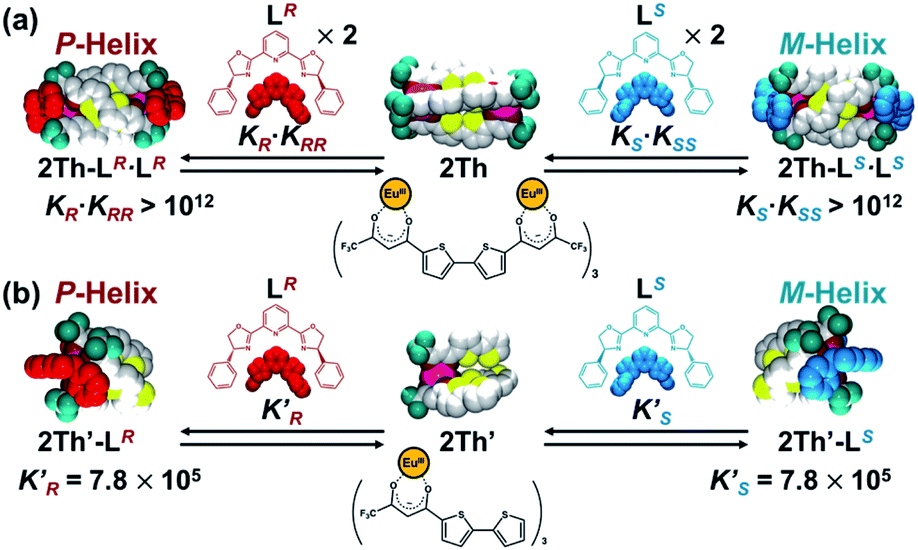 Helix-mediated over 1 nm-range chirality recognition by ligand-to ...