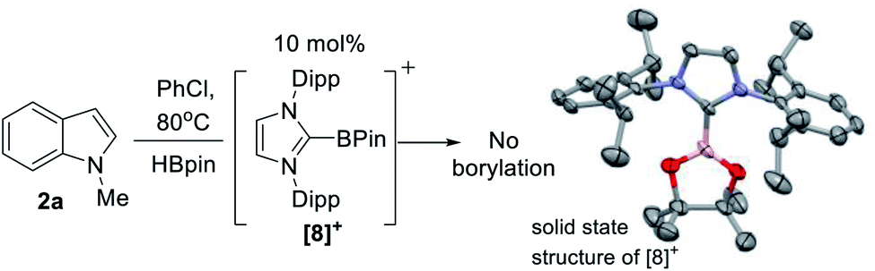 Zinc catalysed electrophilic C–H borylation of heteroarenes - Chemical ...