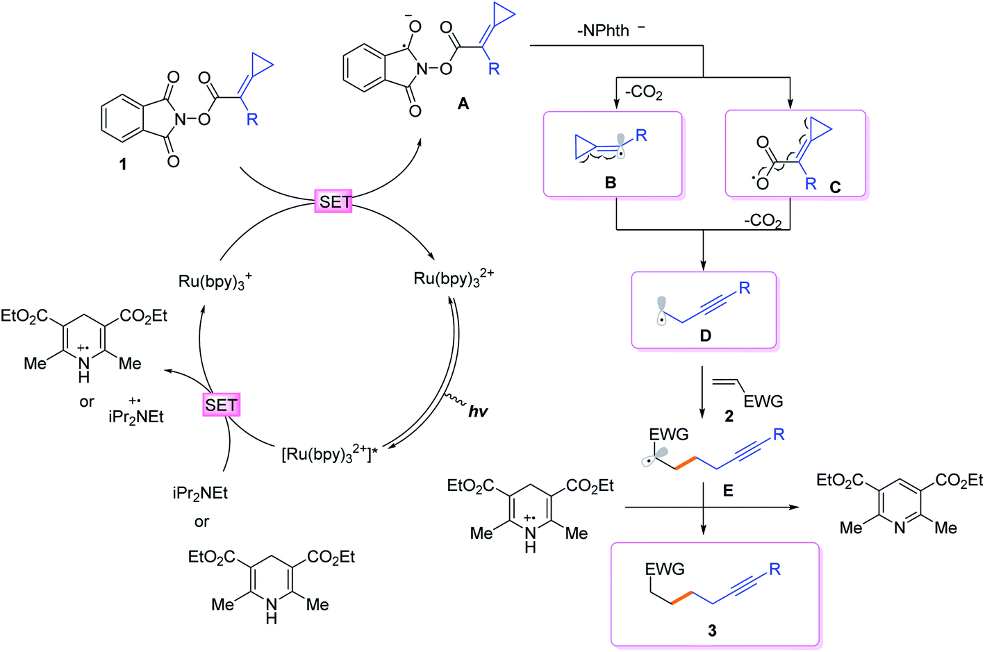 A visible-light mediated ring opening reaction of ...