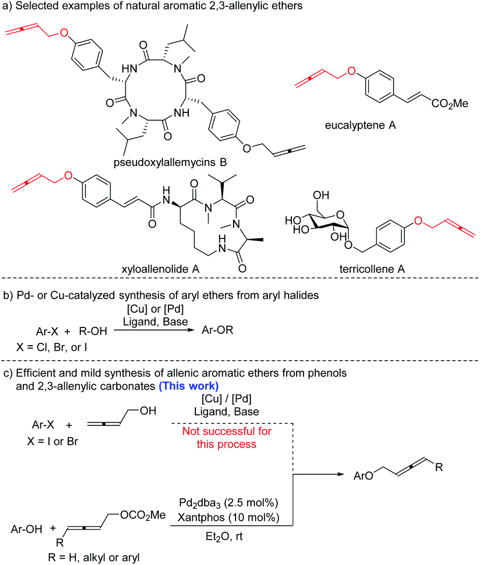 A palladium-catalyzed approach to allenic aromatic ethers and first ...