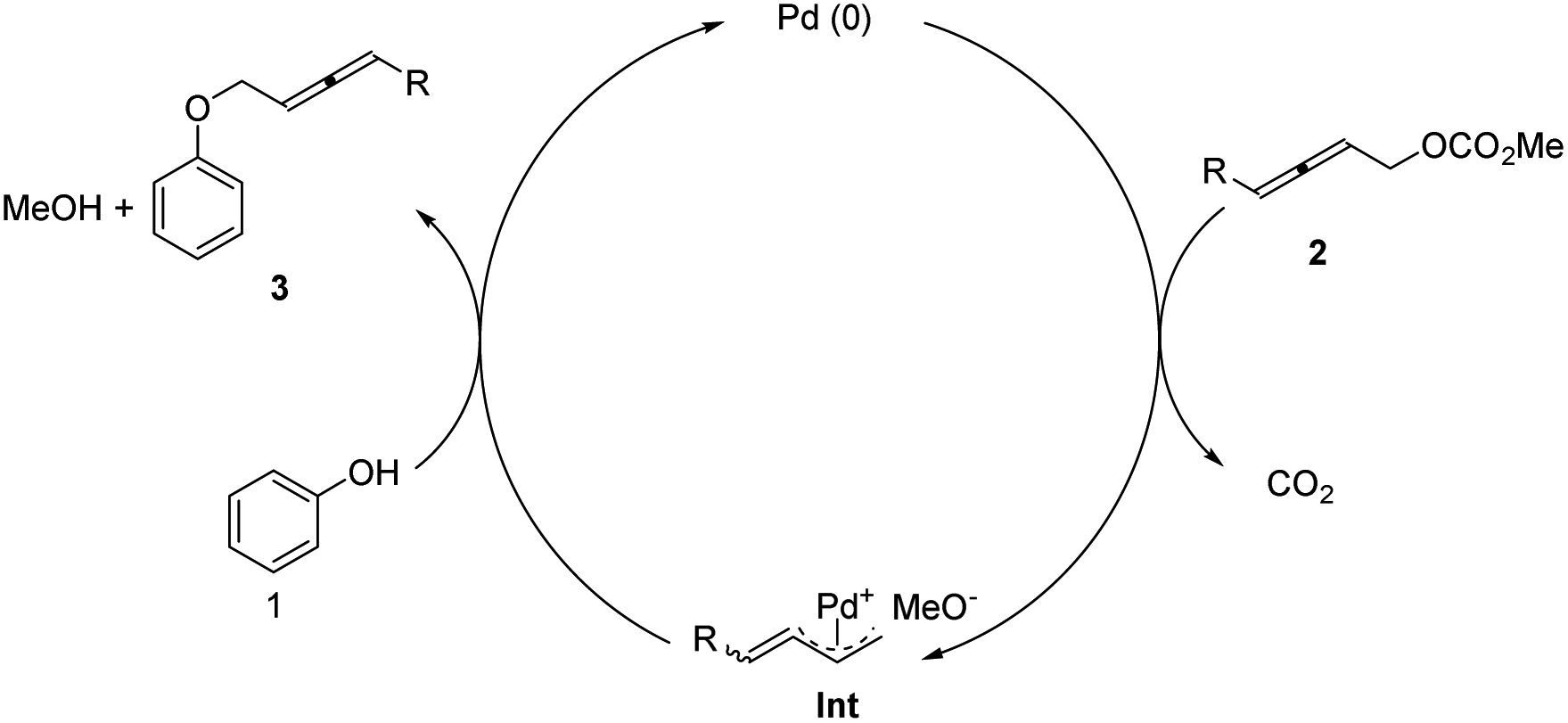 A palladium-catalyzed approach to allenic aromatic ethers and first ...